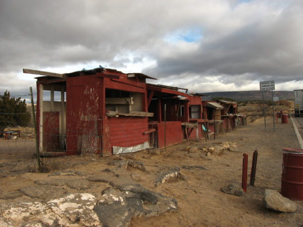 Features Archive - Encounter Books